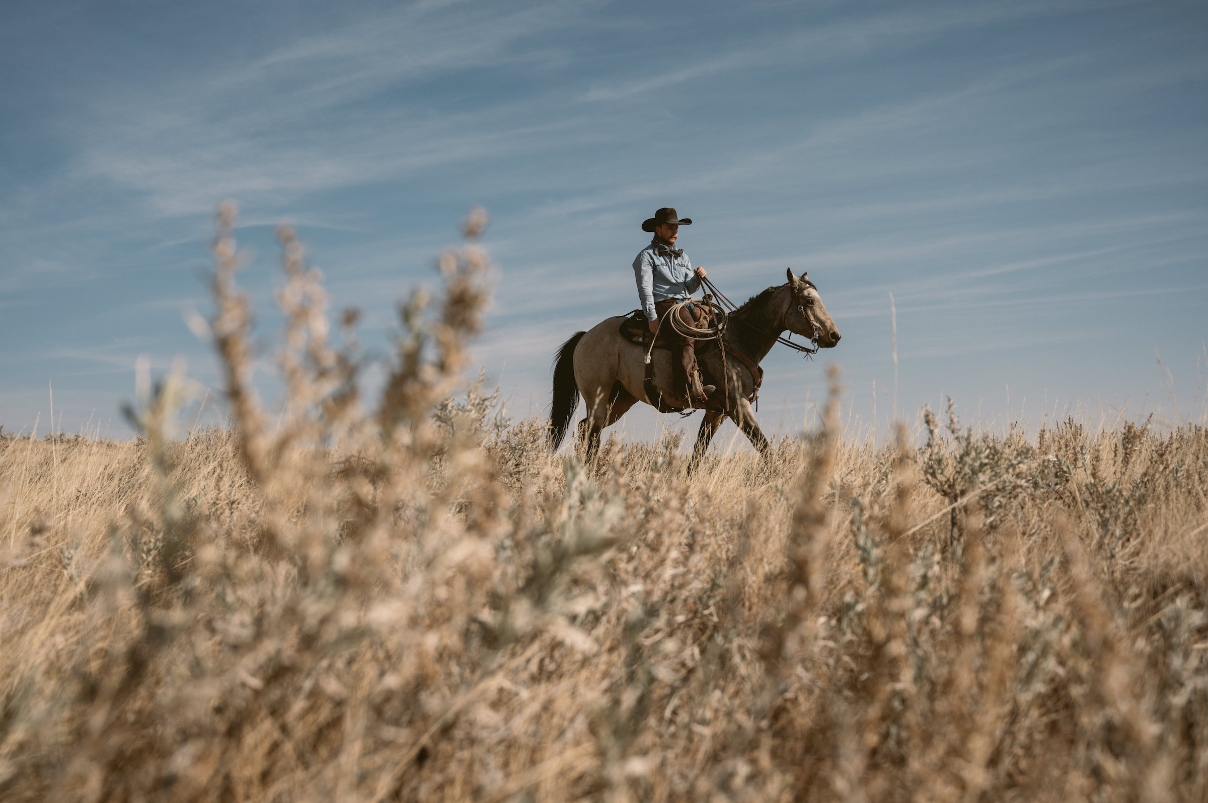 Colter Wall’s Cover of “Evangelina” - The Sound Also Rises